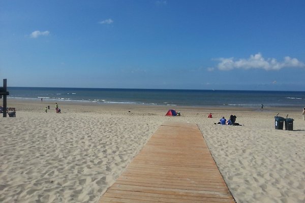 Strandhaus Juliana in Julianadorp aan Zee - Frau C. Knickenberg