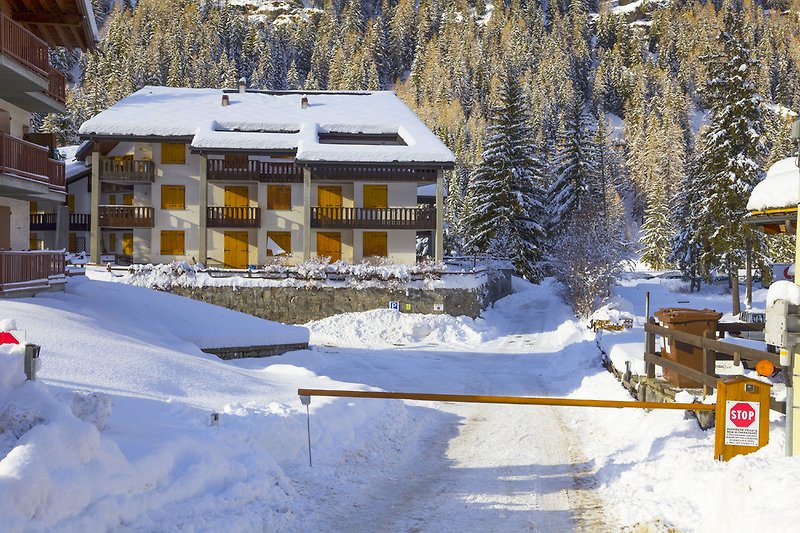 The Twins Apartment Champoluc in Champoluc - Company VIP-BOOKING.IT, M ...