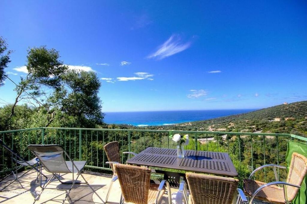 Gelbe Oleander in Ile Rousse ab 57 € direkt bei Familie M. SAVELLI ...