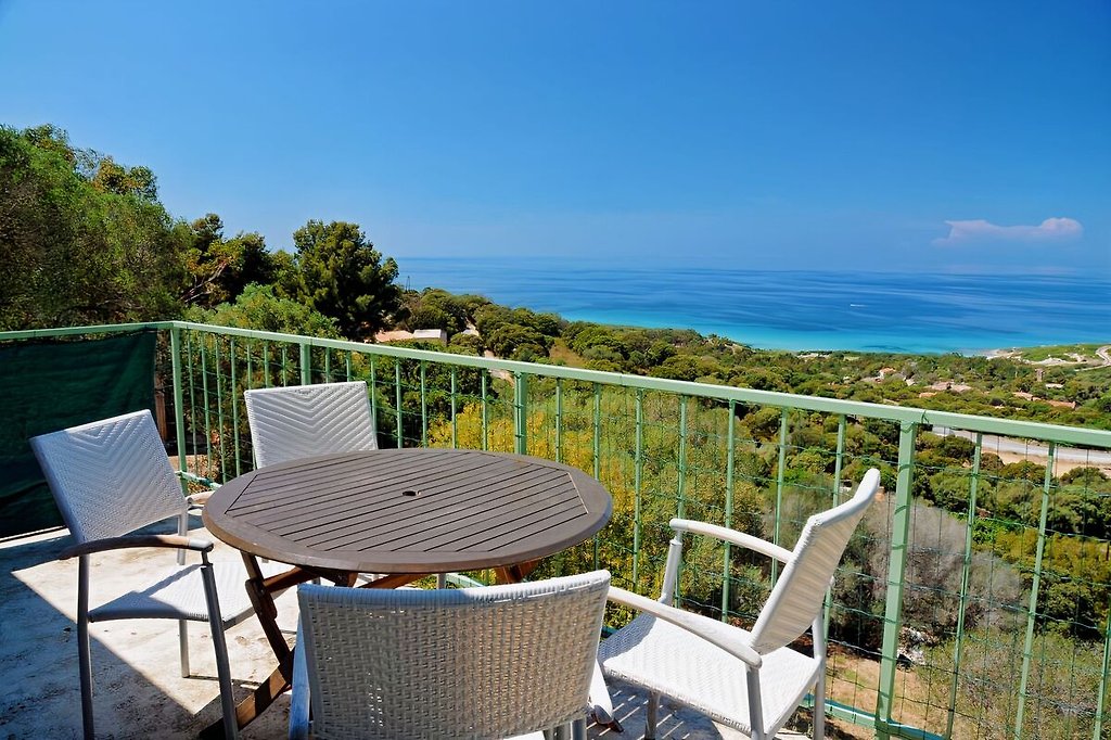 Gelbe Oleander in Ile Rousse ab 57 € direkt bei Familie M. SAVELLI ...