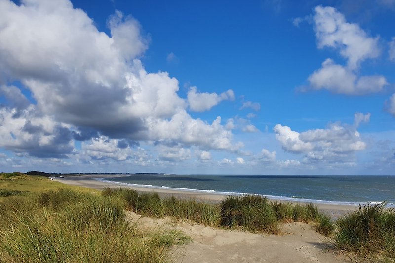 Ferienvilla Zeeduin direkt am Meer in Kamperland - Familie R. Breitkopf