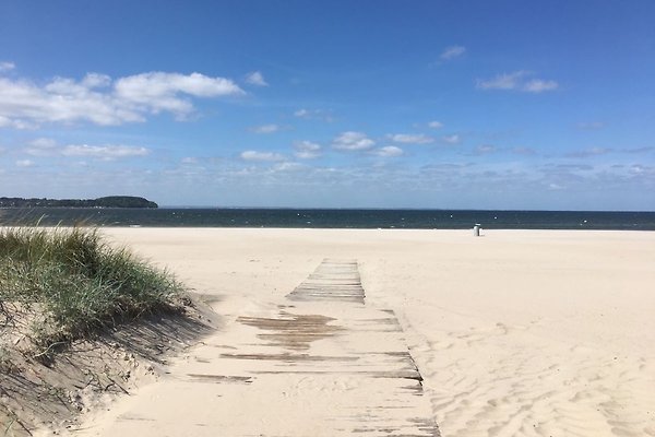 Priwallhus | Strandhaus | Priwall in Travemünde - Familie M. Falk
